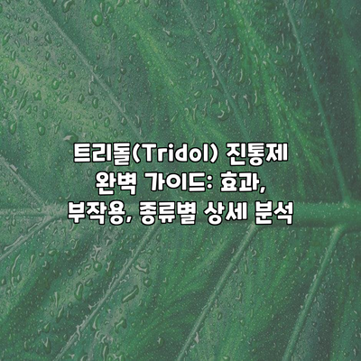 트리돌(Tridol) 진통제 완벽 가이드: 효과, 부작용, 종류별 상세 분석 - konghello95
